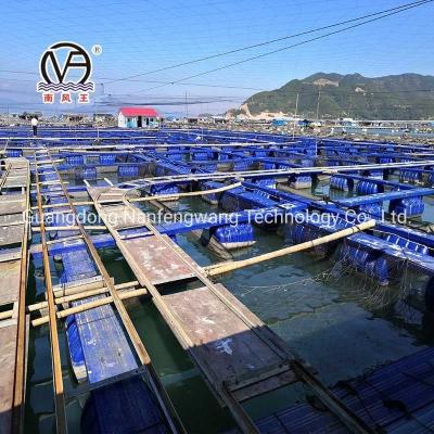 China HDPE Modular Fish Cage System - 15+ Year Lifespan, 50m Depth Capacity, Typhoon Grade 12 Resistance for sale