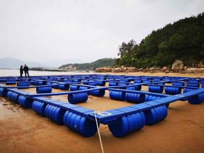 China HDPE Floating Pontoon Fish Farming System - 15+ Year Lifespan, 12-Grade Typhoon Resistance for Lake & Marine Aquaculture for sale