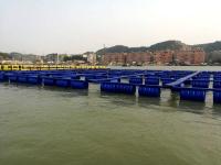 China HDPE Floating Pontoon Fish Farming System - 15+ Year Lifespan, 12-Grade Typhoon Resistance for Lake & Marine Aquaculture for sale
