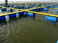 China HDPE Floating Pontoon Fish Farming System - 15+ Year Lifespan, 12-Grade Typhoon Resistance for Lake & Marine Aquaculture for sale