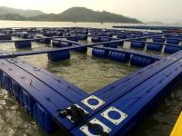 China HDPE Freshwater Fish Culture Pontoon Cage - 15+ Year Lifespan, 50m Depth Capacity, Typhoon Resistant for sale