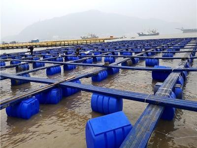 China HDPE Pipe Pontoon Fish Farming Cage 200mm 500mm for Lake Pond Aquaculture for sale