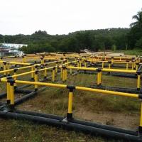 China HDPE Semi Open Sea Anti Wind Fish Farming Net Cage 15 Year Lifespan Green Yellow for sale
