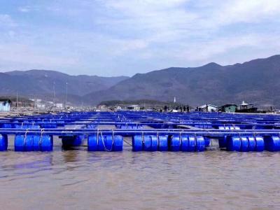 China HDPE Pipe Floating Fish Cage Bucket Panel for Inshore Lake Reservoir Aquaculture 15 Year Lifespan for sale