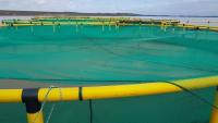 China HDPE Floating Fish Cages 200mm-500mm Pipe Diameter for Freshwater Aquaculture with 15+ Year Lifespan for sale