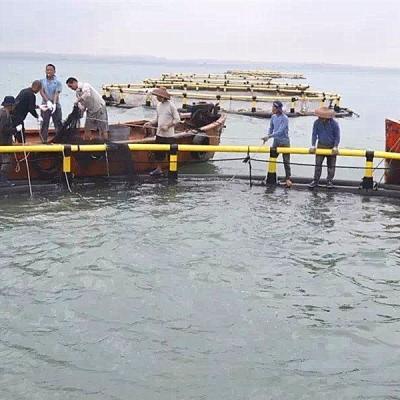 China Anti-Fouling HDPE Fish Cage 10m Diameter 60m Perimeter Deep Sea Aquaculture for sale