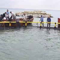 China HDPE Circular Floating Fish Cage 10m-60m Diameter for Freshwater River Aquaculture for sale