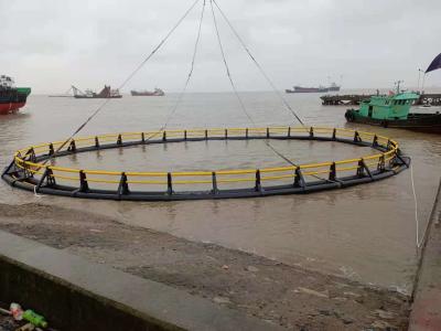 China Customized HDPE Sea Cage Trap PE100 Raw Materials with PE Bracket 15 Year Lifespan for sale