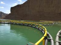 China HDPE Circular Fish Cage for Reservoir Aquaculture - 15+ Year Lifespan, 12-Grade Typhoon Resistance for sale