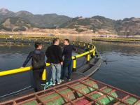 China HDPE Circular Fish Cage for Reservoir Aquaculture - 15+ Year Lifespan, 12-Grade Typhoon Resistance for sale