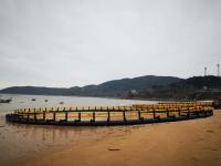 China HDPE Circular Aquaculture Cage for Rivers 12 Grade Wind Resistance 15 Year Lifespan for sale