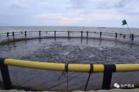 China Nanfengwang HDPE Aquaculture Fish Cage 200-400mm Pipe Diameter for Sea & Lake Farming for sale