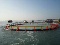 China HDPE Aquaculture Fish Farming Cage 10m-50m Diameter with 15+ Year Lifespan and Typhoon Resistance for sale