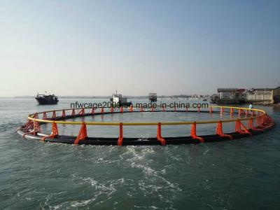 China HDPE Aquaculture Fish Farming Cage 10m-50m Diameter with 15+ Year Lifespan and Typhoon Resistance for sale