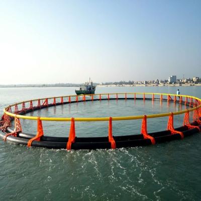 China Aquaculture Fish Farming Cage 250cm x 110cm with HDPE Frame and Auxiliary Winch for Marine Environments for sale