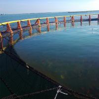 China HDPE Floating Fish Cage 10m-50m Diameter with 15+ Year Lifespan for Marine Aquaculture for sale