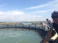 China HDPE Offshore Fish Cages 10m-60m Diameter | 15+ Year Frame Life | 12-Grade Typhoon Resistance for sale