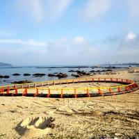 China HDPE Deepsea Floating Fish Farming Cage 30-200m Circumference with 15+ Year Lifespan for Marine Aquaculture for sale