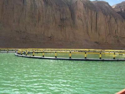China HDPE Circular Fish Cage for Aquaculture Lake Fishermen 15 Year Lifespan 12 Grade Wind Resistance for sale
