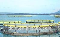 China Customizable HDPE Floating Fish Cage for Tilapia - 15+ Year Durability, 12-Grade Typhoon Resistance for sale