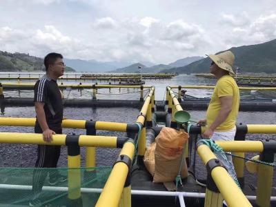 China HDPE Square Fish Cage for Tilapia Breeding Diameter 10m Floating Pipe 200mm to 500mm for sale