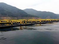 China HDPE Square Fish Cage for Tilapia Breeding Diameter 10m Floating Pipe 200mm to 500mm for sale