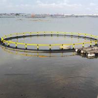 China HDPE Floating Fish Farm Cage 200mm-400mm Pipe Diameter with 12-Grade Typhoon Resistance and 15-Year Lifespan for sale