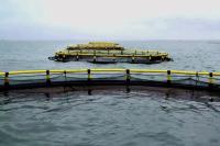 China HDPE Aquaculture Fish Cage 200-500mm Diameter 10-60m Length with 15+ Year Lifespan for Deep Sea Farming for sale
