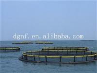China 90m HDPE Floating Fish Aquaculture Net Cage with 15+ Year Lifespan, 12-Grade Typhoon Resistance for Sea Farming for sale