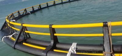 China Round HDPE Aquaculture Marine Cage for Bass Cultured 15 Year Lifespan 12 Grade Wind Resistance for sale