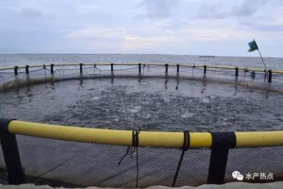 China HDPE Round Fish Farming Net Cage - 15+ Year Lifespan, 12-Grade Typhoon Resistance for Aquaculture Industry for sale