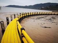 China Round HDPE Fish Farming Cages 10m-60m Diameter with 15+ Year Lifespan for Aquaculture for sale