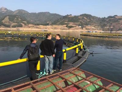China HDPE Marine Fish Cage Floating Pipe 200mm to 500mm Deep Sea Offshore Aquaculture for sale