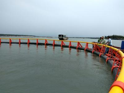 China Custom HDPE Aquaculture Fish Farm Cage - 15+ Year Lifespan, 50m Depth, Typhoon Resistant Floating System for sale