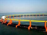 China Custom HDPE Aquaculture Fish Farm Cage - 15+ Year Lifespan, 50m Depth, Typhoon Resistant Floating System for sale