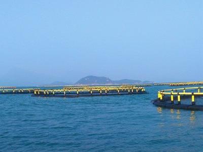 China HDPE Fish Farming Cage 200mm-500mm Floating Pipe Anti-Wave Offshore Aquaculture for sale