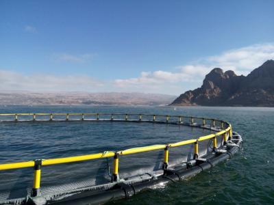 China HDPE Circular Fish Cage PE Bracket for Offshore Marine Aquaculture 12m for sale