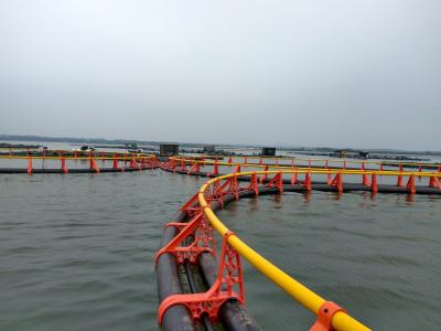 China HDPE Bracket Square Fish Farming Floating Cage Inshore 12 Grade Typhoon Resistance 15 Year Lifespan for sale