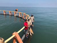 China Round HDPE Fish Farming Cage 10m 60m Diameter Deep Sea Aquaculture Floating for sale