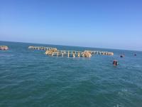 China Round HDPE Fish Farming Cage 10m 60m Diameter Deep Sea Aquaculture Floating for sale