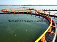 China HDPE Deep Sea Aquaculture Fish Farming Cage 200mm 450mm 500mm Floating Pipe for sale