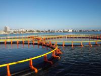 China HDPE Deep Sea Aquaculture Fish Farming Cage 200mm 450mm 500mm Floating Pipe for sale