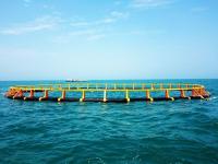 China HDPE Circular Fish Cage 10-38m Diameter Anti-Wind 315mm Floating Pipe Offshore Aquaculture for sale