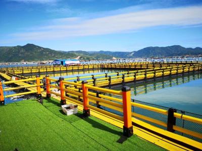 China HDPE Square Floating Fish Cage Aquaculture System 15 Year Lifespan Deep Sea Offshore Fish Farm Equipment for sale