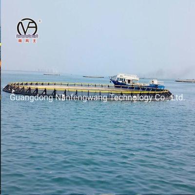 China Deep Sea Aquaculture HDPE Super Strong Fish Cage 450mm Floating Pipe 15 Year Lifespan for sale