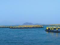 China HDPE Fish Farming Cages with 15+ Year Lifespan, 12-Grade Typhoon Resistance for Sustainable Aquaculture for sale