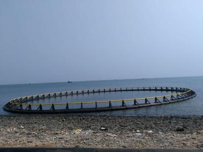 China HDPE Floating Fish Farming Cage 200mm/315mm/500mm with 15+ Year Lifespan and Typhoon Resistance for sale