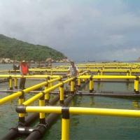 China HDPE Fish Cage Floating Leisure Cage for Aquaculture 15 Year Lifespan 12 Grade Wind Resistance for sale