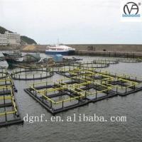 China HDPE Fish Cage Floating Leisure Cage for Aquaculture 15 Year Lifespan 12 Grade Wind Resistance for sale