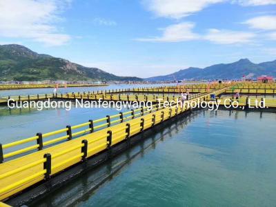 China HDPE Floating Leisure Cage Platform with Walkway 160m Circumference for Lake Aquaculture for sale